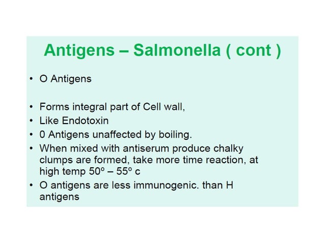 Salmonella typhi | PPTX