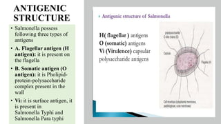 Salmonella typhi-Typhoid fever | PPTX