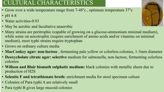 Salmonella typhi-Typhoid fever | PPTX