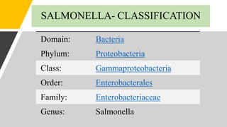 Salmonella typhi-Typhoid fever | PPT