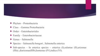 Salmonella typhi.Salmonella.SlideShare.pptx. | PPTX