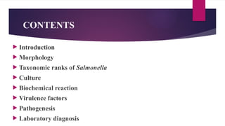 Salmonella typhi.Salmonella.SlideShare.pptx. | PPTX