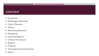 SALMONELLA TYPHI - MEDICAL BACTERIOLOGY | PDF