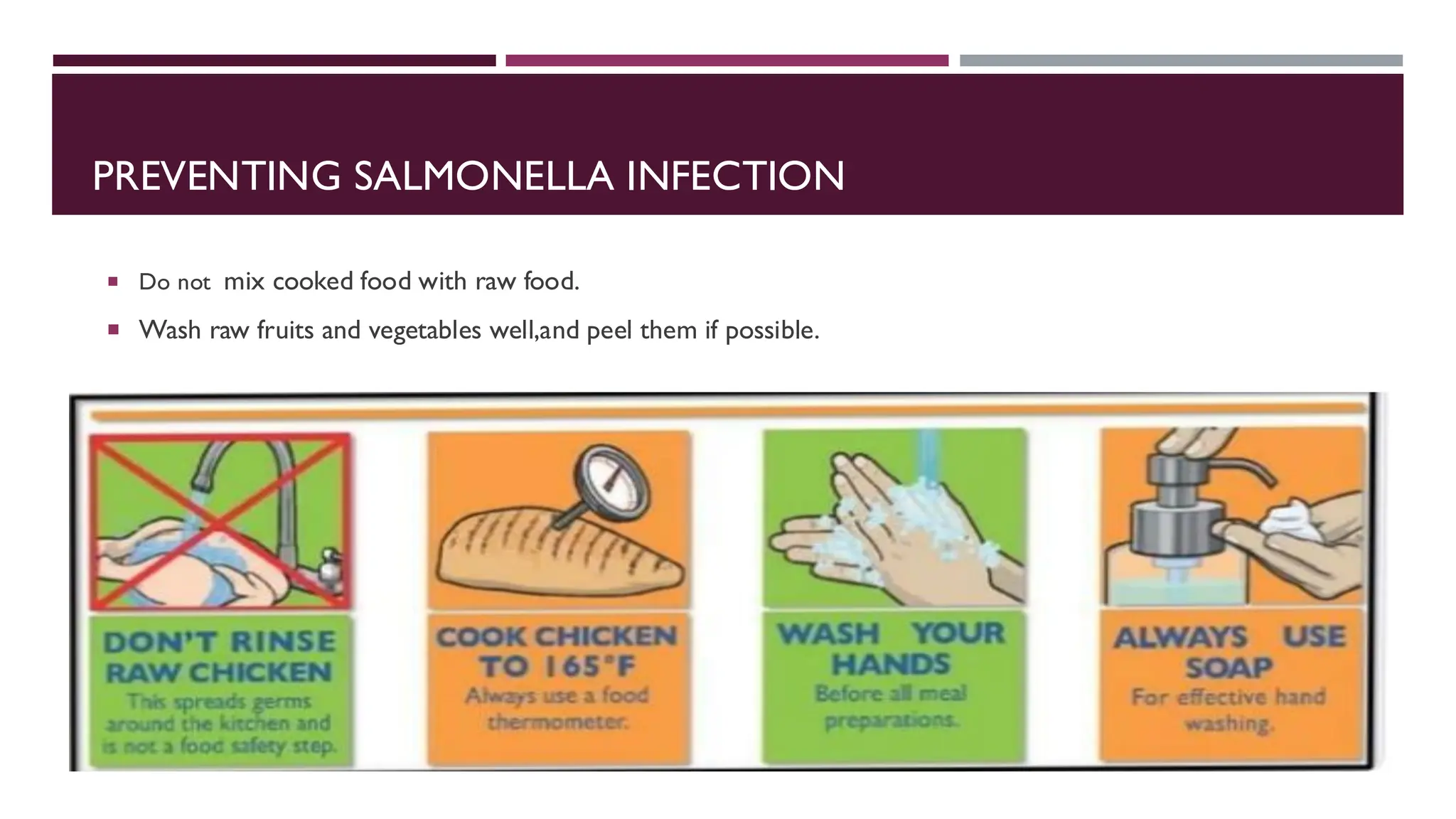Salmonella typi - Morphology, culture characteristics, laboratory diagnosis, treatment and ...