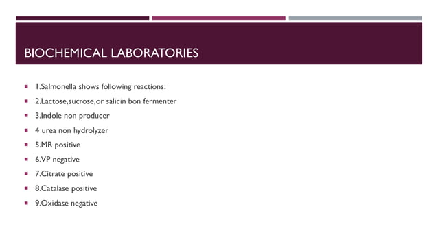 Salmonella typi - Morphology, culture characteristics, laboratory ...