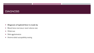 Salmonella typi - Morphology, culture characteristics, laboratory ...