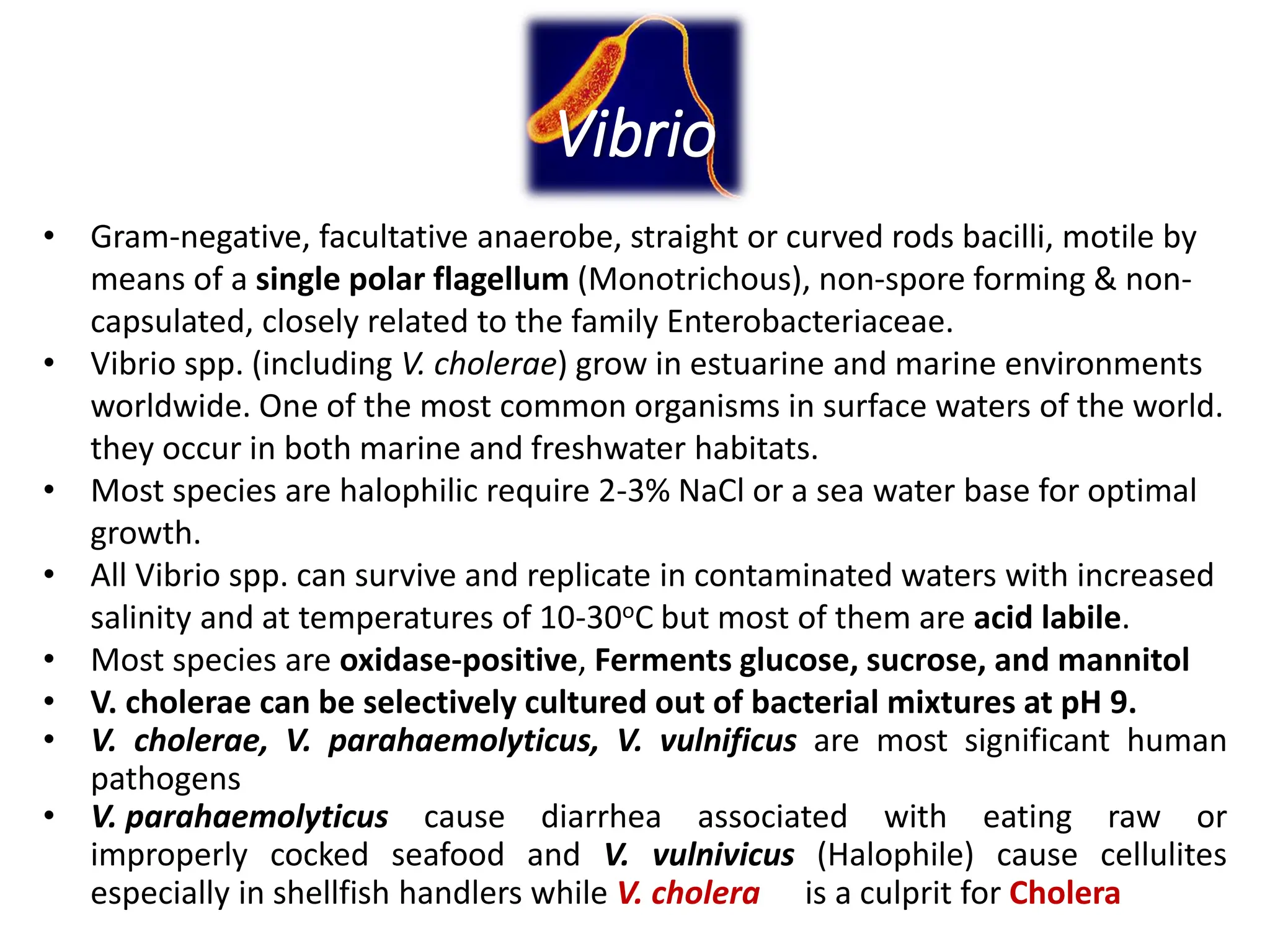 Salmonella & Vibrio Cholerae an overview.pdf