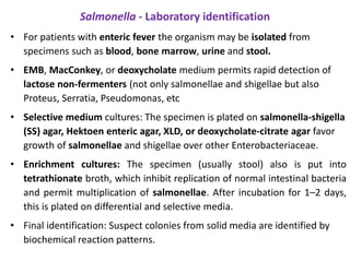 Salmonella & Vibrio Cholerae an overview.pdf