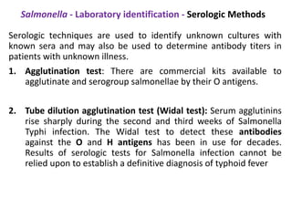 Salmonella & Vibrio Cholerae an overview.pdf