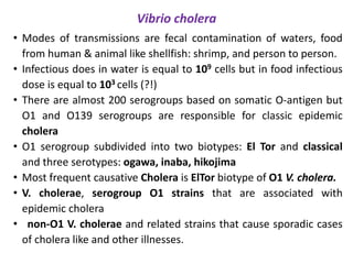 Salmonella & Vibrio Cholerae an overview.pdf