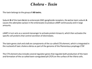 Salmonella & Vibrio Cholerae an overview.pdf