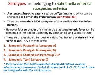 Salmonella & Vibrio Cholerae an overview.pdf