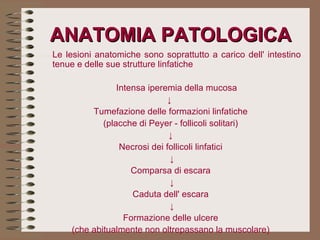 Salmonelle ch | PPT