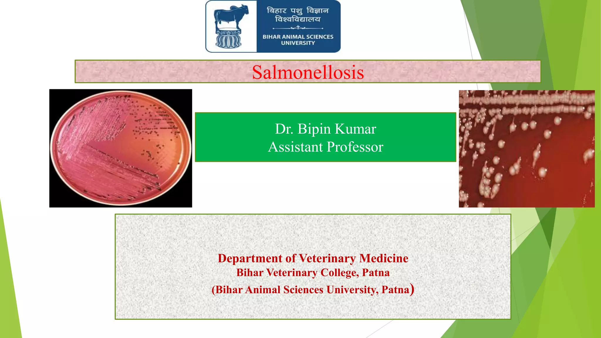 Salmonellosis-1.pptx