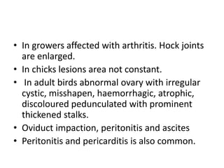 Salmonellosis | PPTX