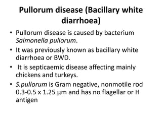 Salmonellosis | PPTX