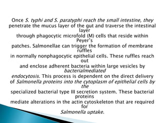Salmonellosis | PPTX