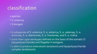 Salmonellosis | PPT
