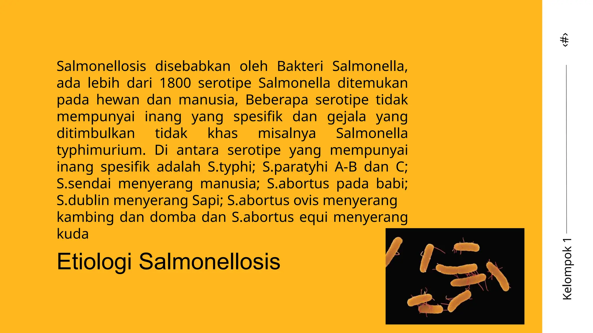 Salmonellosis pada hewan besar sapi babi dan kuda | PPTX