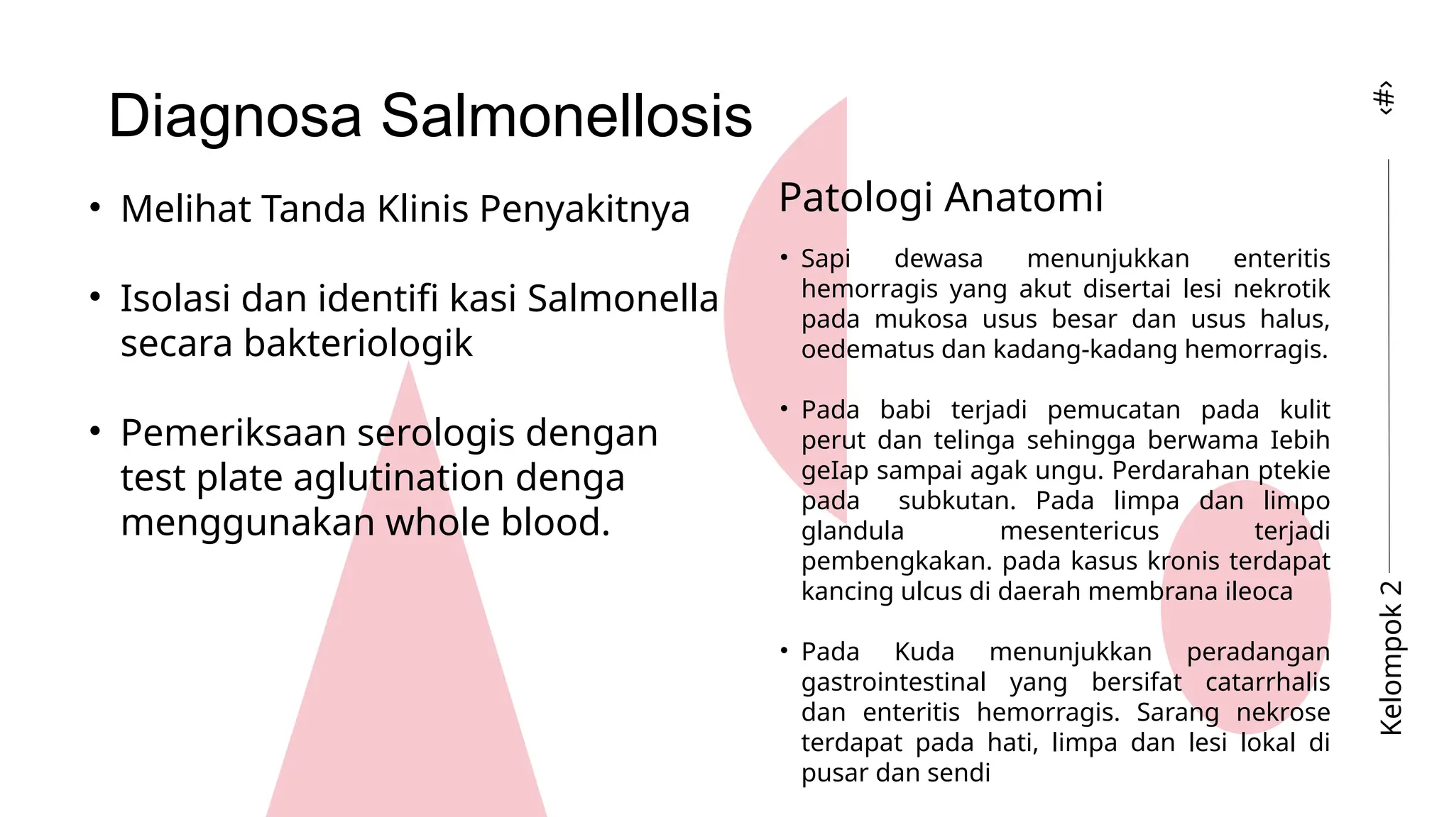 Salmonellosis pada hewan besar sapi babi dan kuda | PPTX