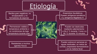 SALMONELOSIS tiphy y no thipy en pediatría | PPTX