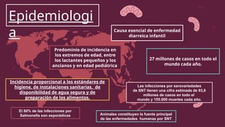 SALMONELOSIS tiphy y no thipy en pediatría | PPTX