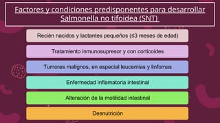 SALMONELOSIS tiphy y no thipy en pediatría | PPTX