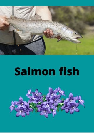 Salmon fish.pdf