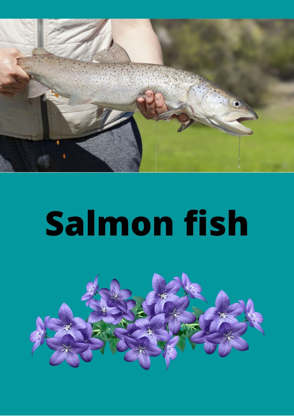 Salmon fish.pdf