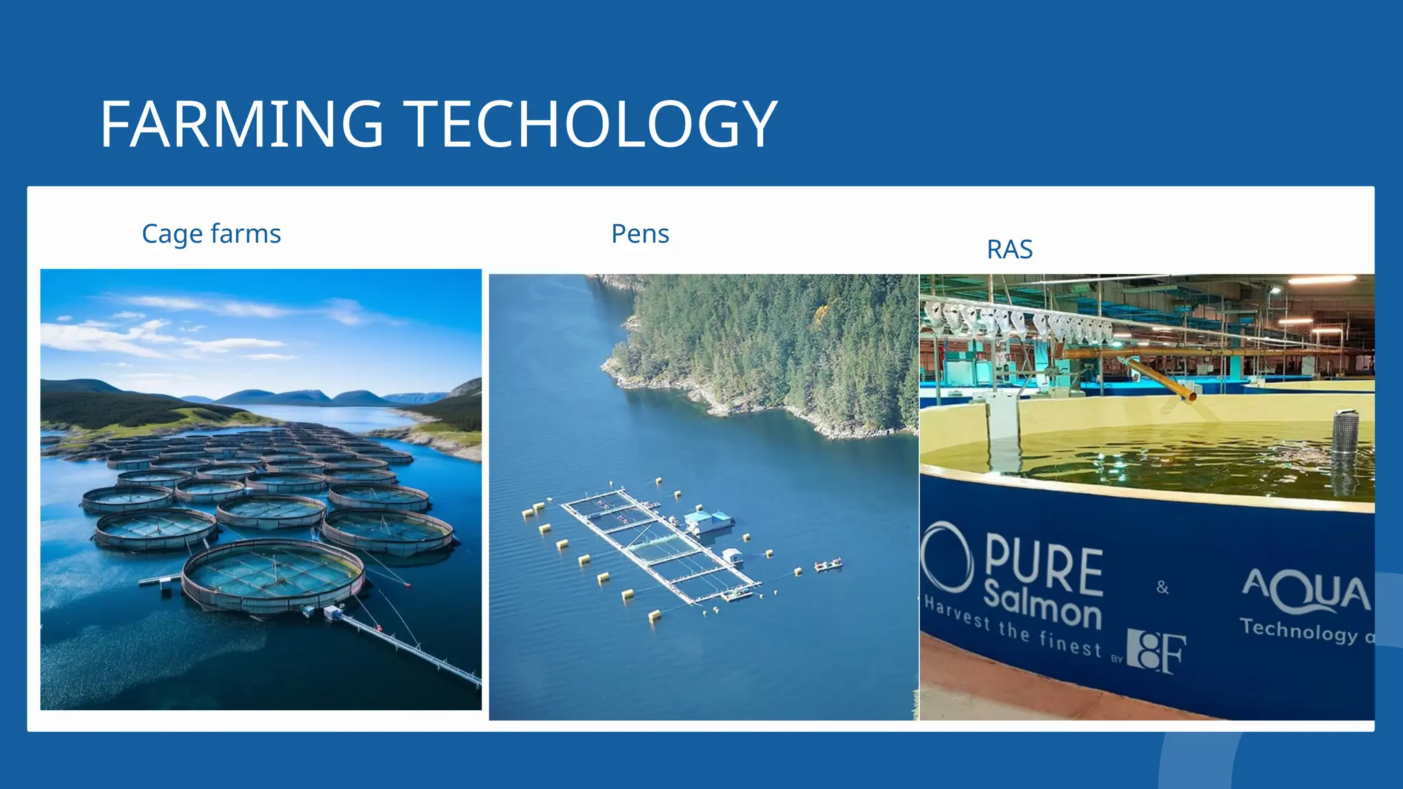 Mariculture-salmon fish farming and status.pptx