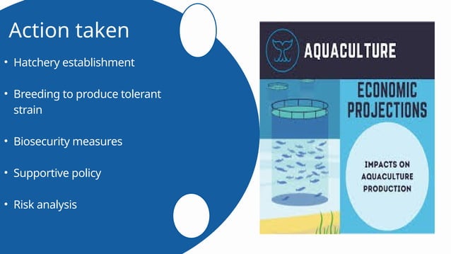 Mariculture-salmon fish farming and status.pptx