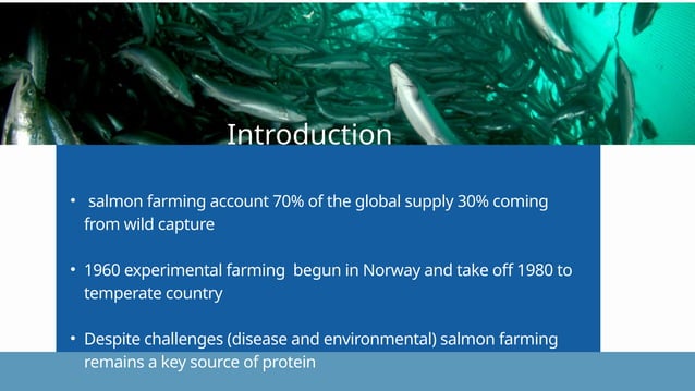 Mariculture-salmon fish farming and status.pptx
