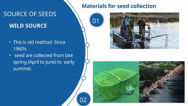 Mariculture-salmon fish farming and status.pptx