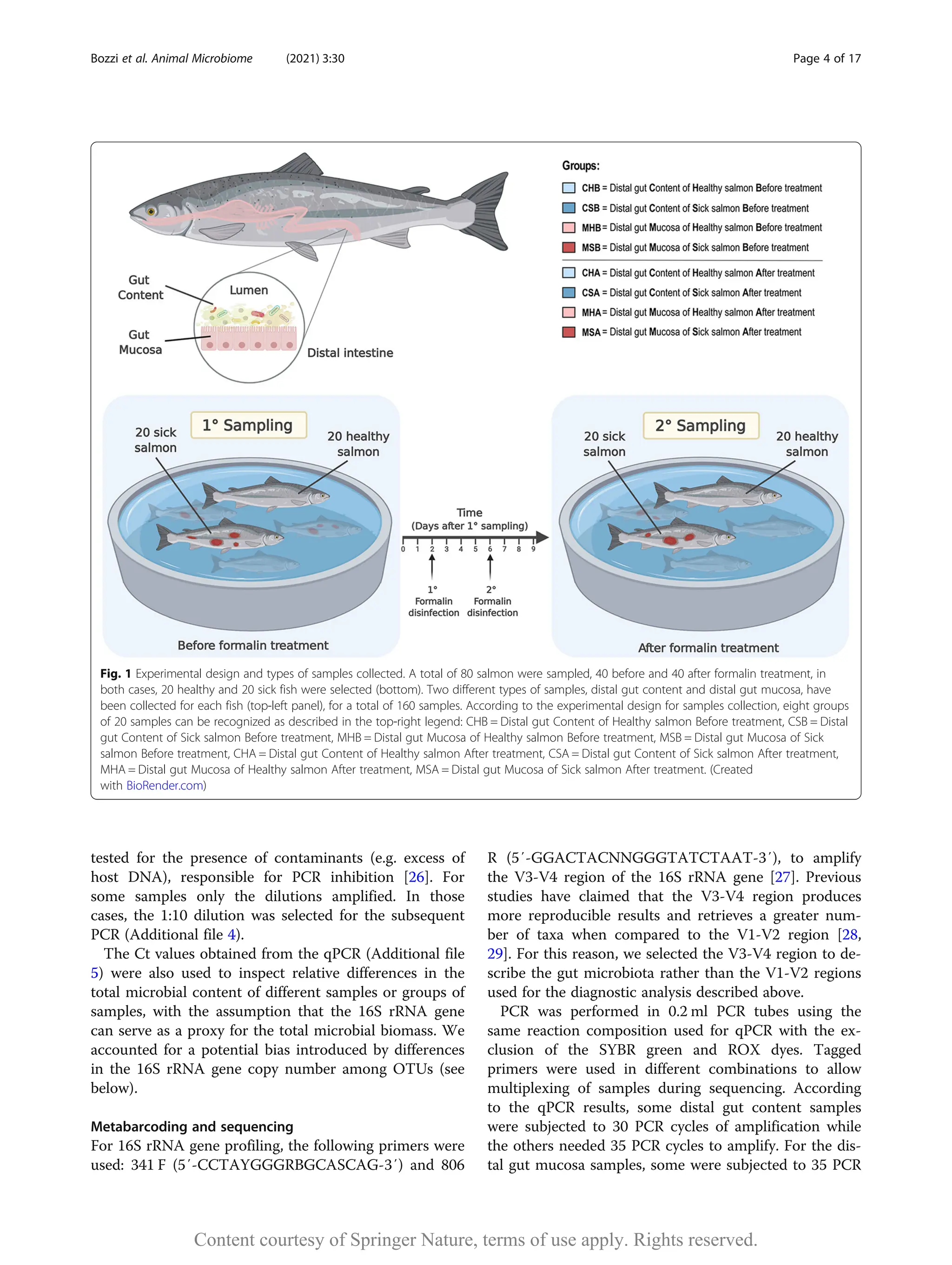 Salmon_gut_microbiota_correlates_with_disease_infe.pdf | Biological ...