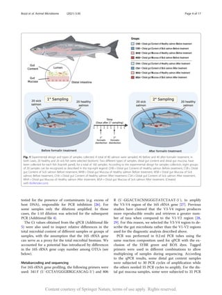 Salmon_gut_microbiota_correlates_with_disease_infe.pdf