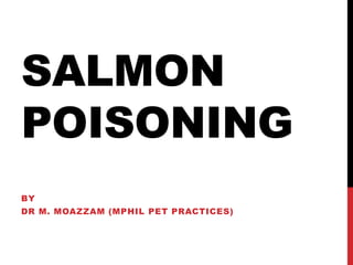 Salmon poisoning | PPT