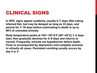 Salmon poisoning | PPT