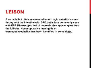 Salmon poisoning | PPT