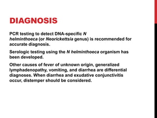 Salmon poisoning | PPT