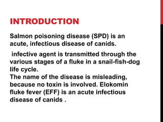 Salmon poisoning | PPT
