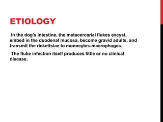 Salmon poisoning | PPT