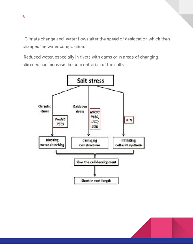 Role of Salinity in fish | PDF