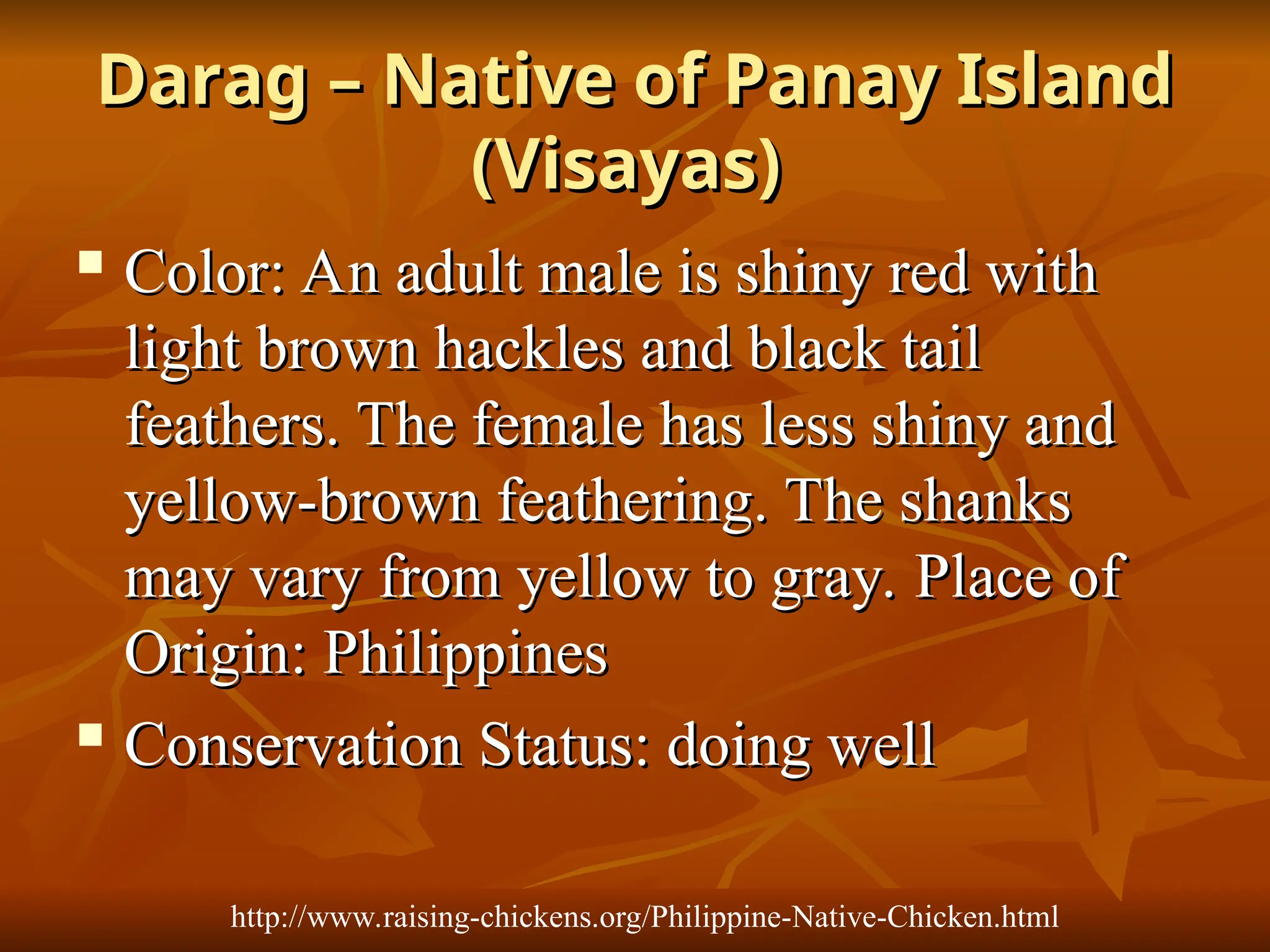 Salomon Gemma O.. - Breeds of Chickens.ppt