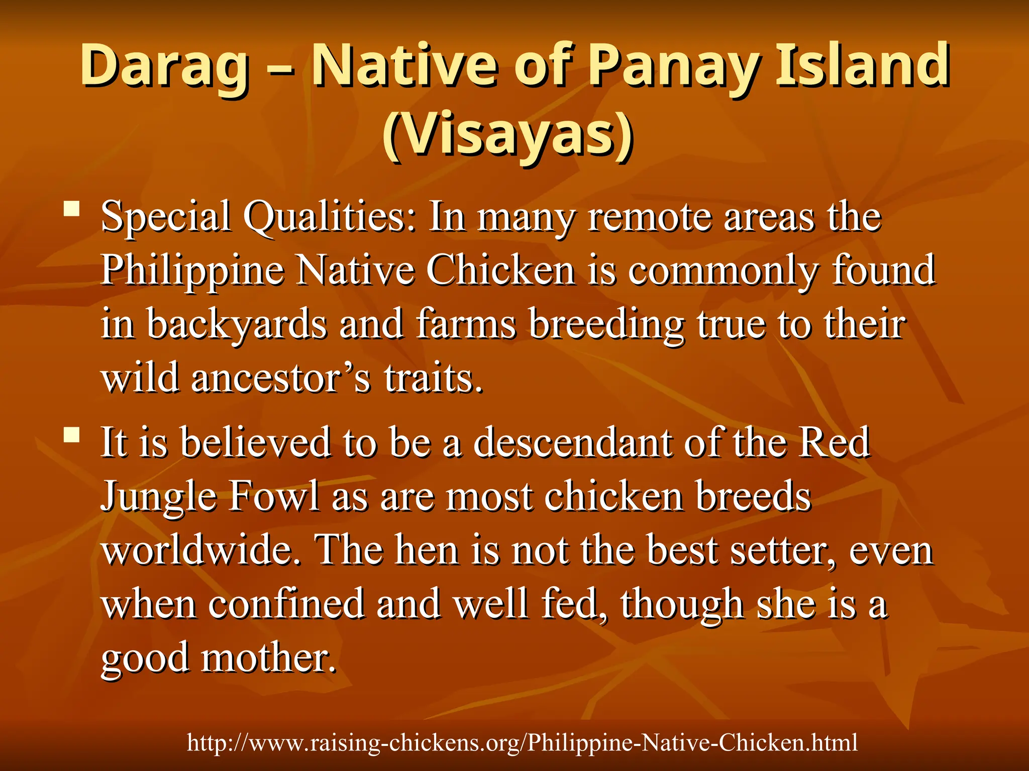 Salomon Gemma O.. - Breeds of Chickens.ppt
