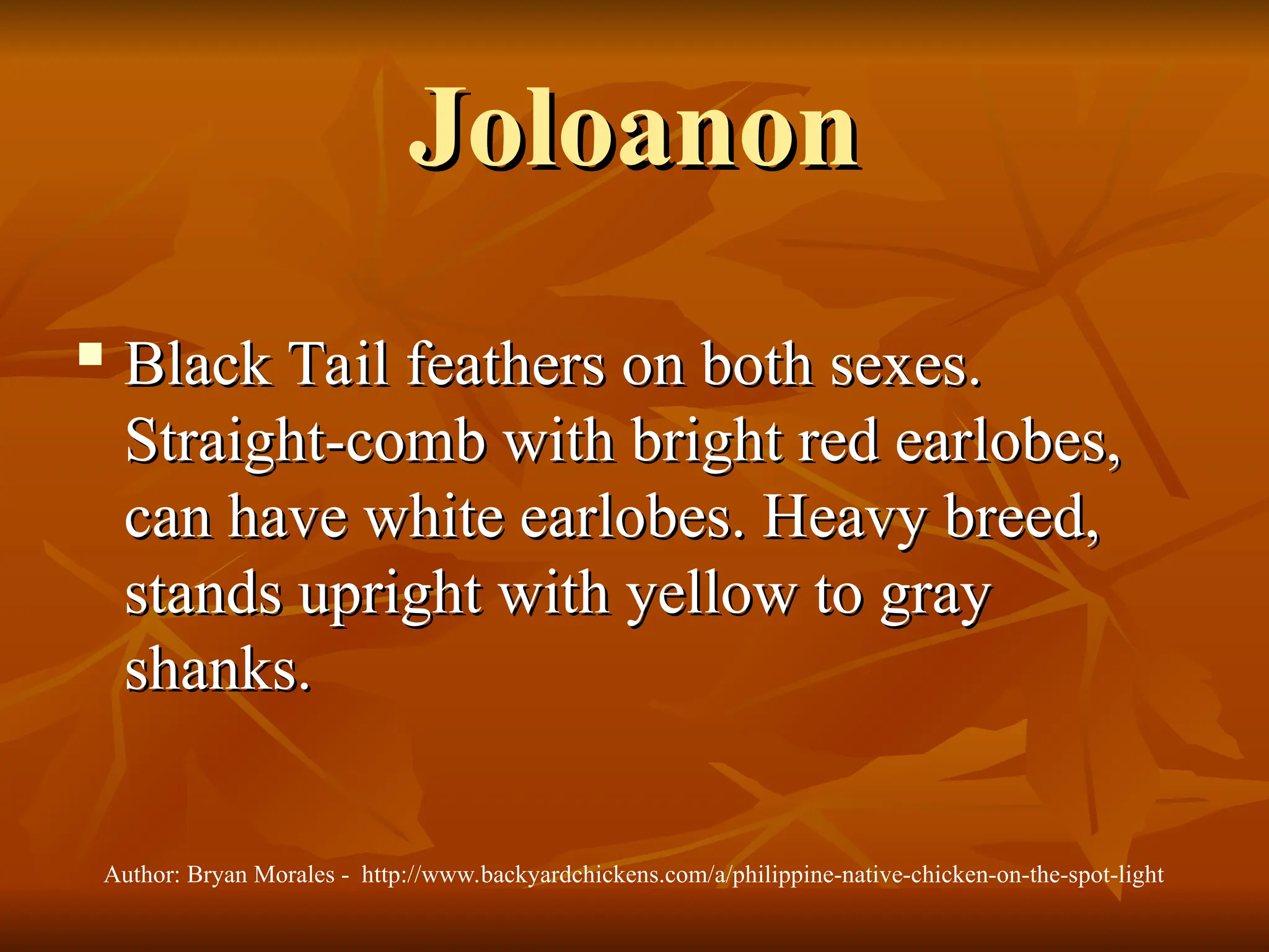 Salomon Gemma O.. - Breeds of Chickens.ppt