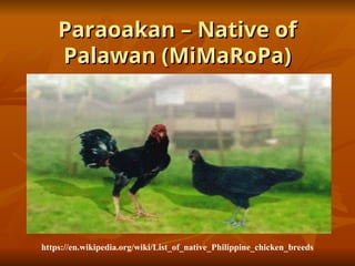 Salomon Gemma O.. - Breeds of Chickens.ppt