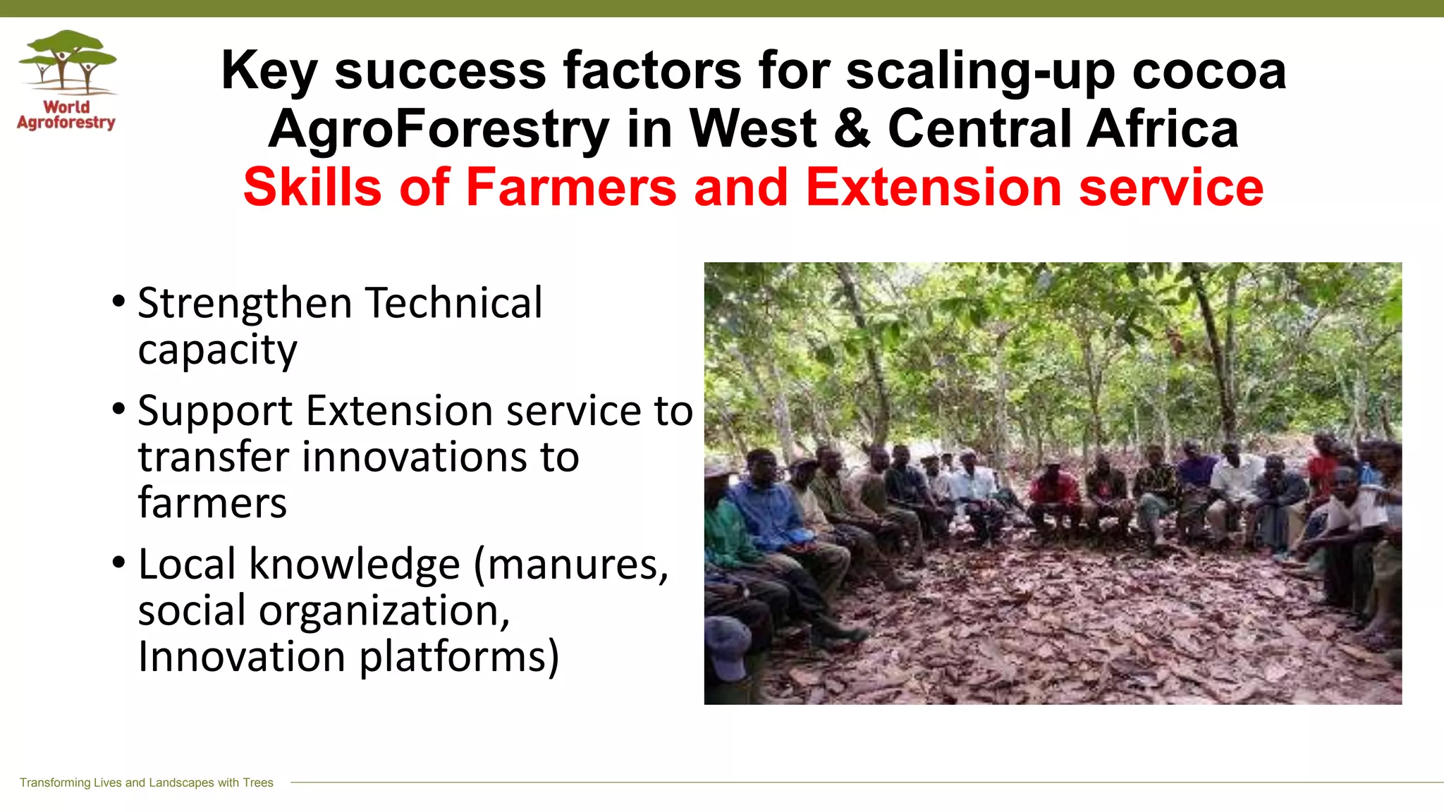 Cocoa agroforestry: A viable practice for Cocoa landscape ...