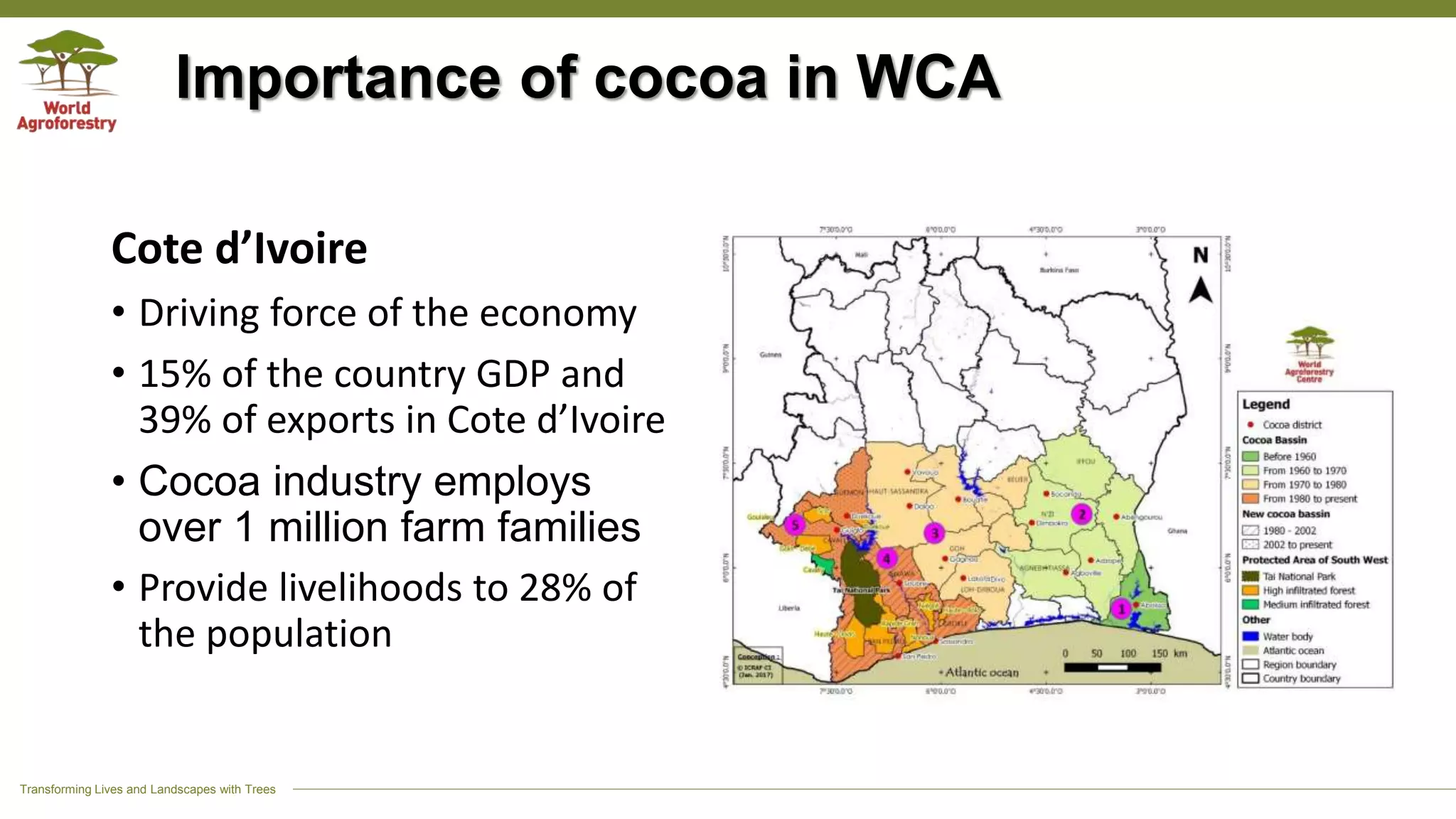 Cocoa agroforestry: A viable practice for Cocoa landscape ...