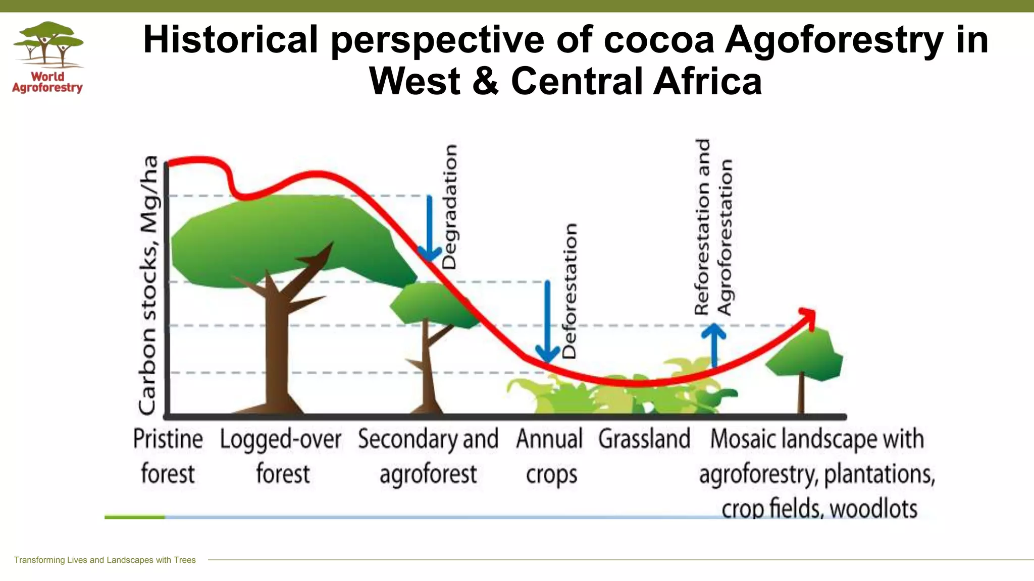 Cocoa agroforestry: A viable practice for Cocoa landscape ...