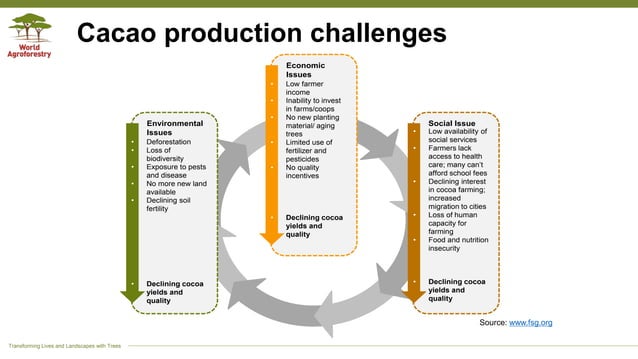 Cocoa agroforestry: A viable practice for Cocoa landscape ...
